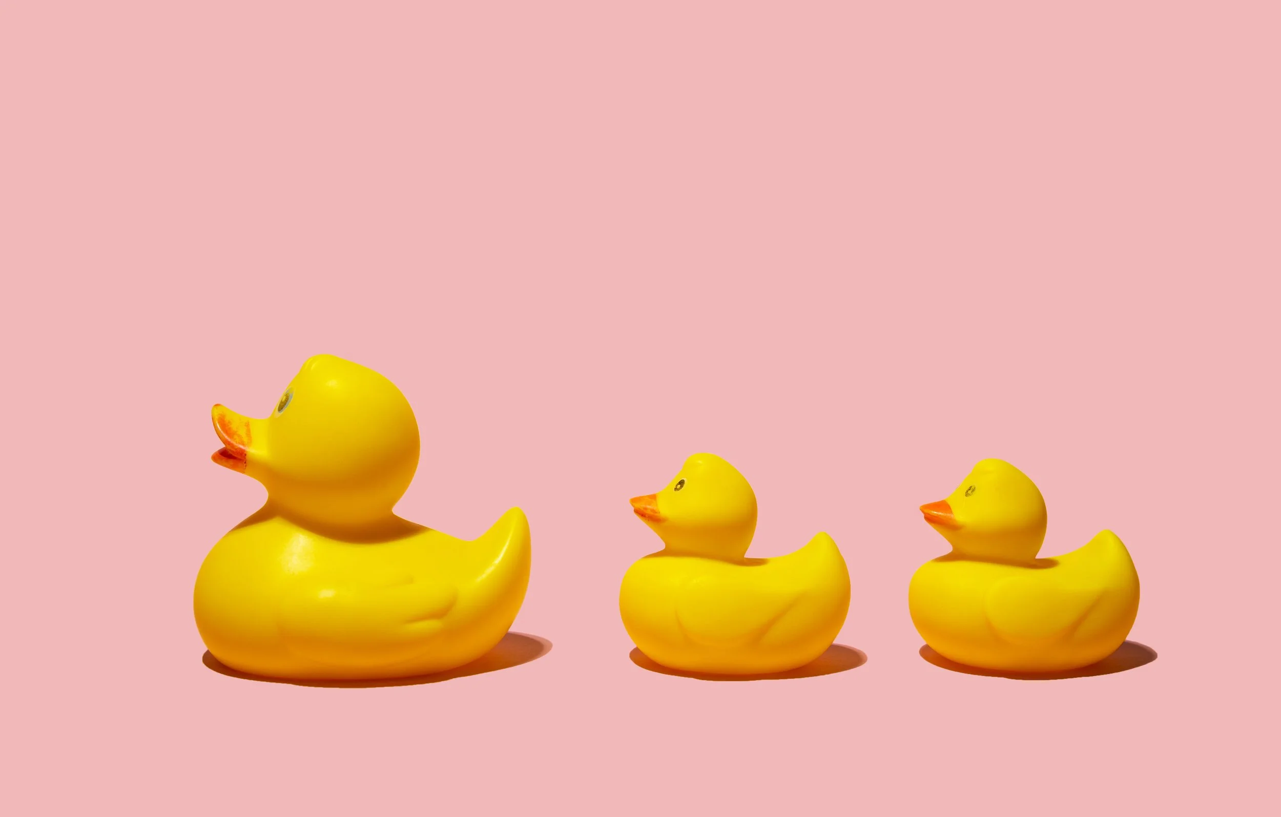 Getting Your Data Ducks in a Row | Butterfly Data Blog